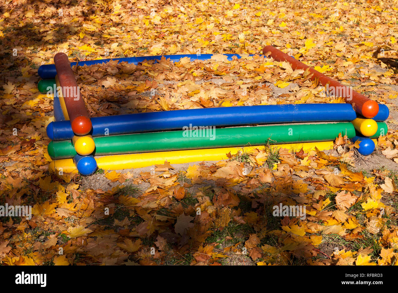 Tara plastic children's sandbox covered with maple tree fallen with ...