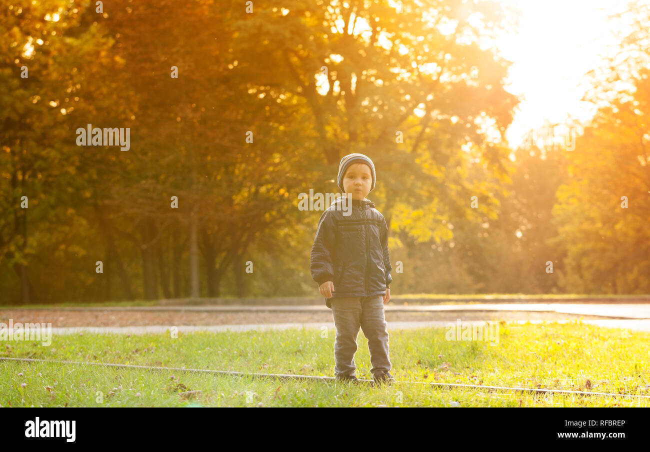 boy during a walk in nature, autumn season during sunset, portrait ...