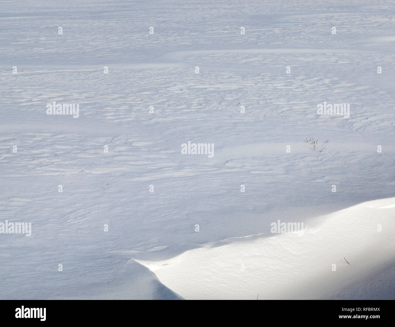 uneven snowdrifts of snow formed after the last snowfalls by wind ...