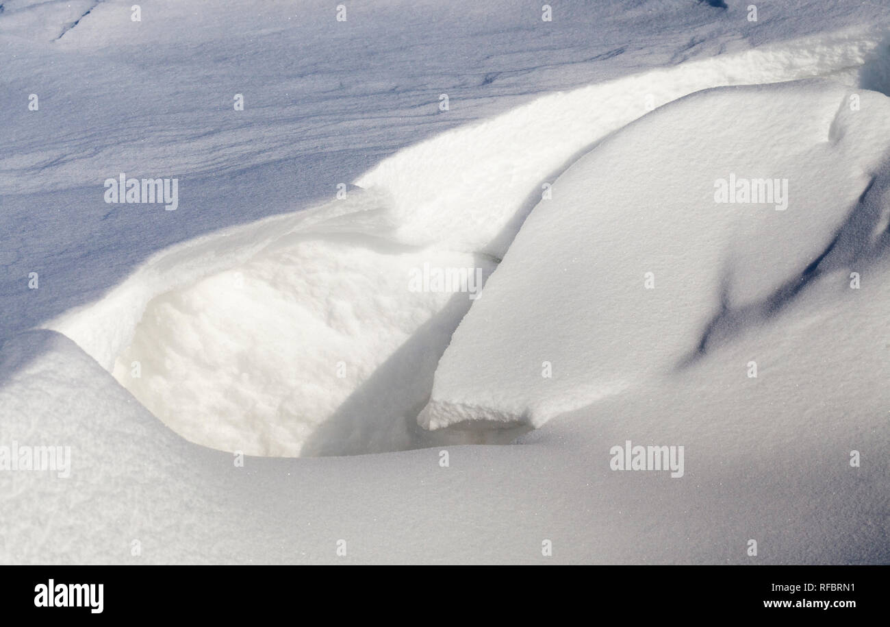 broken snow drift from a large weight of fallen snowflakes, close-up ...