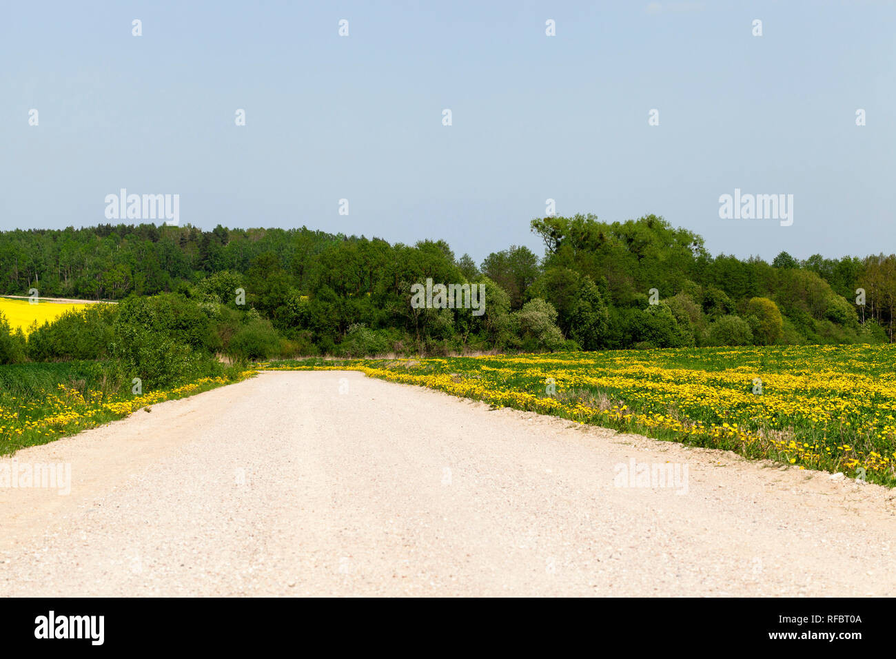 Wide sandy road in the field, the countryside outside the city, Spring ...