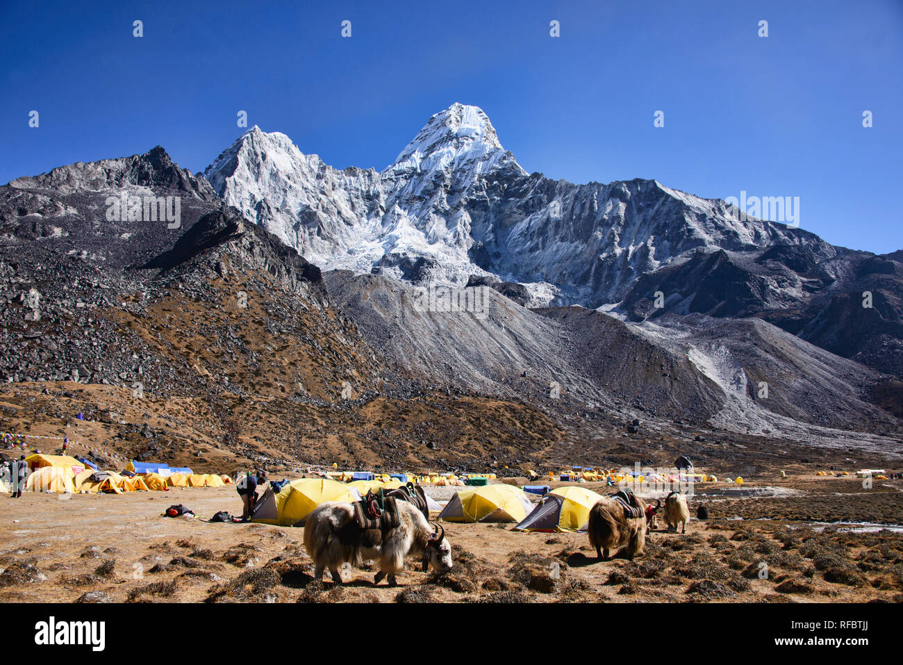 Ama Dablam rises above the Khumbu Valley, Everest region, Nepal Stock ...