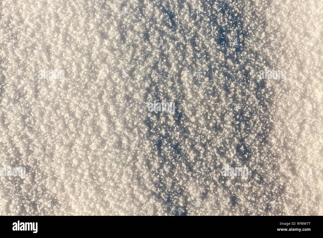 snow photographed in the winter season, which appeared after a snowfall ...