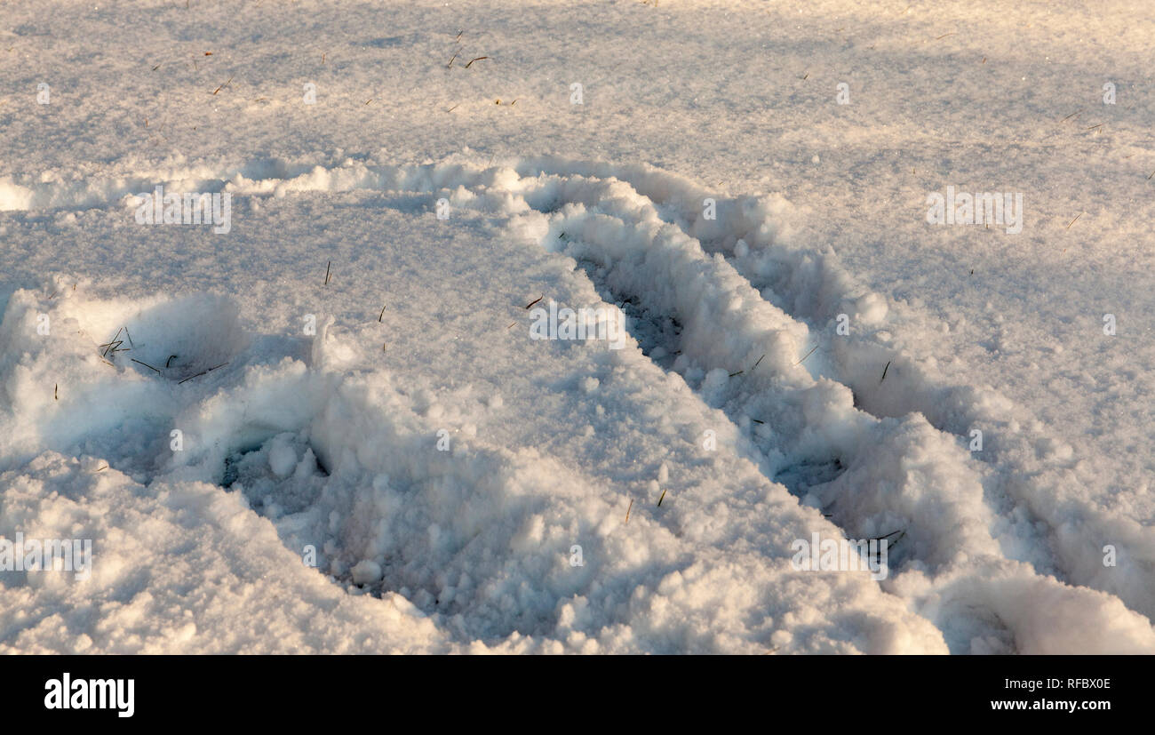 snow photographed in the winter season, which appeared after a snowfall ...