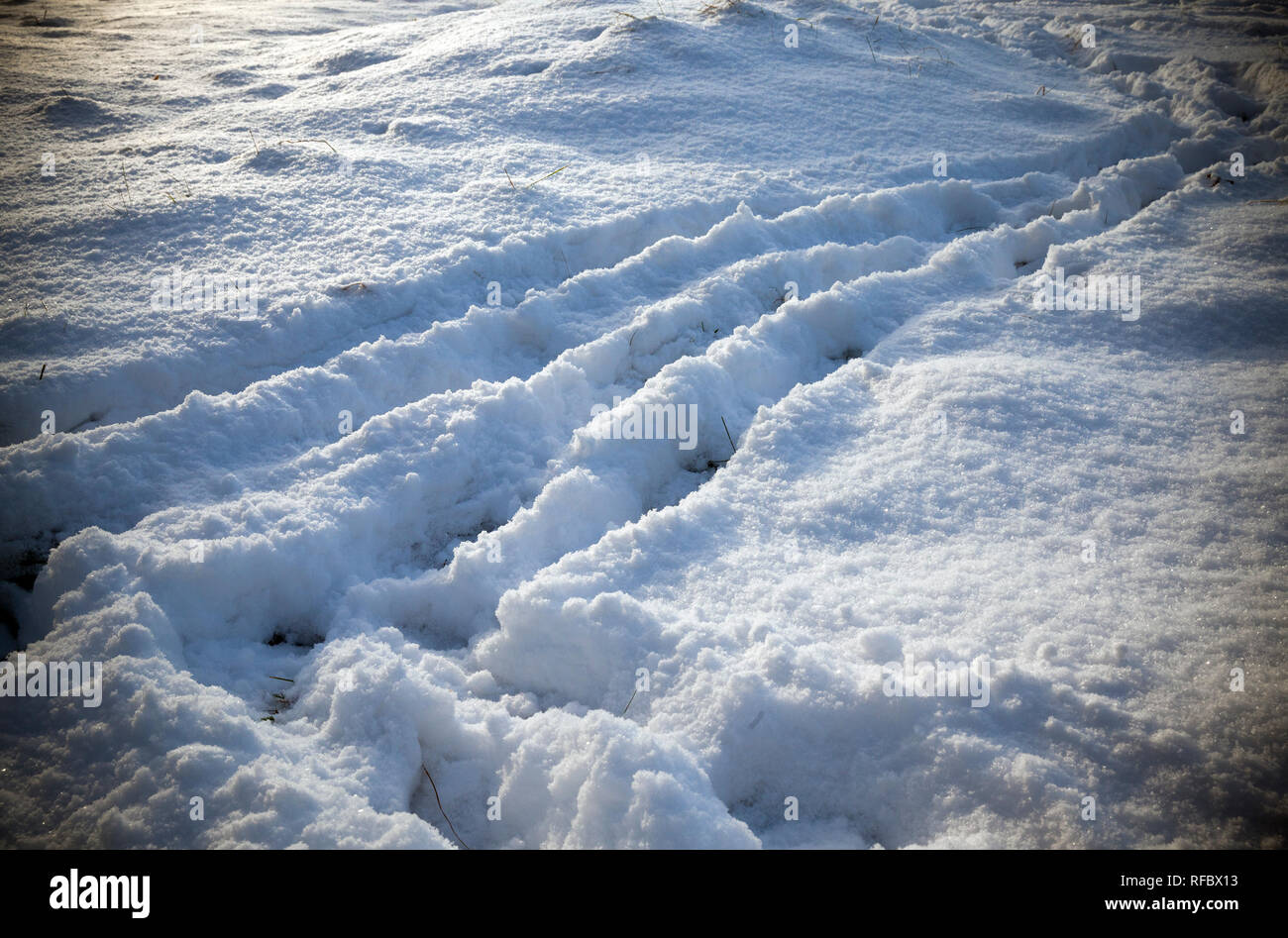 snow photographed in the winter season, which appeared after a snowfall ...