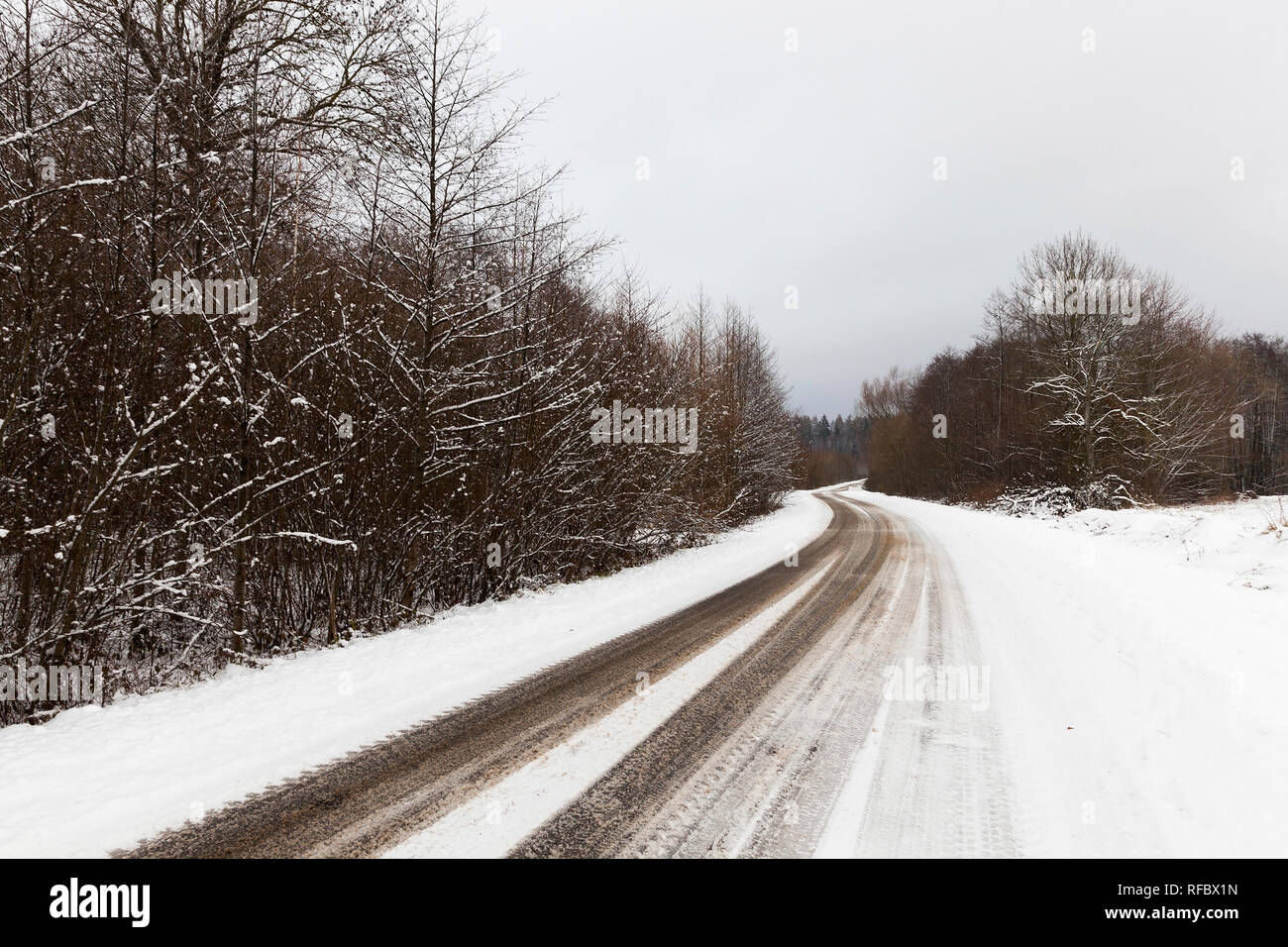 winter season. Small rural road covered with snow road along which grow ...