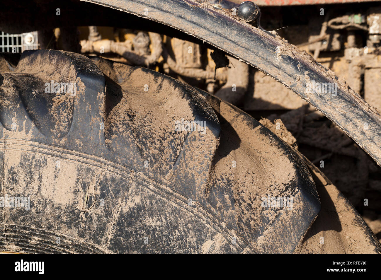 The rubber wheel of the tractor, dirty from the soil in the field, is ...