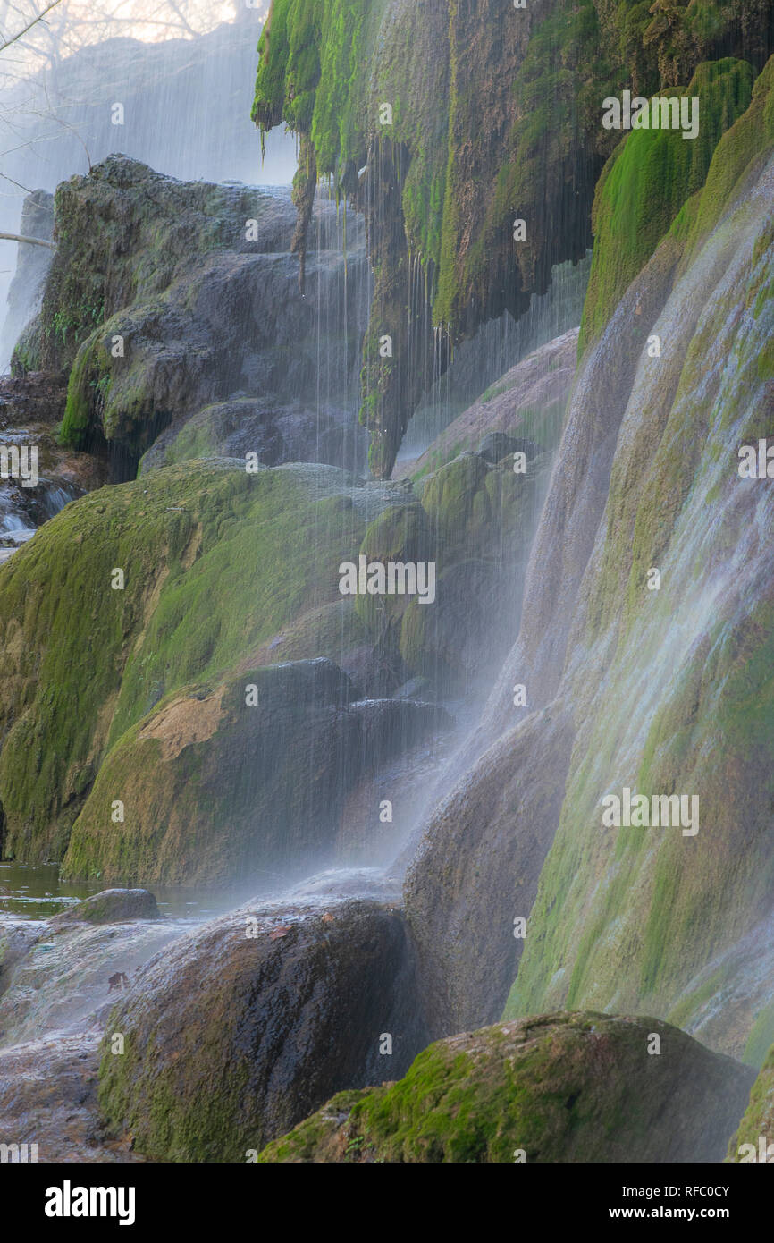 Gorman Falls is a series of beautiful cascades over the moss-covered ...