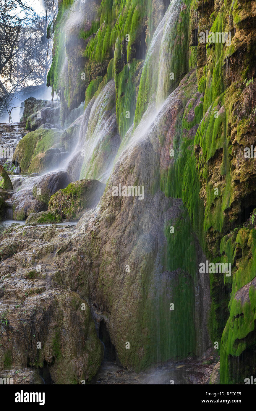 A constant flow of crystal clear spring water spills over the moss and ...