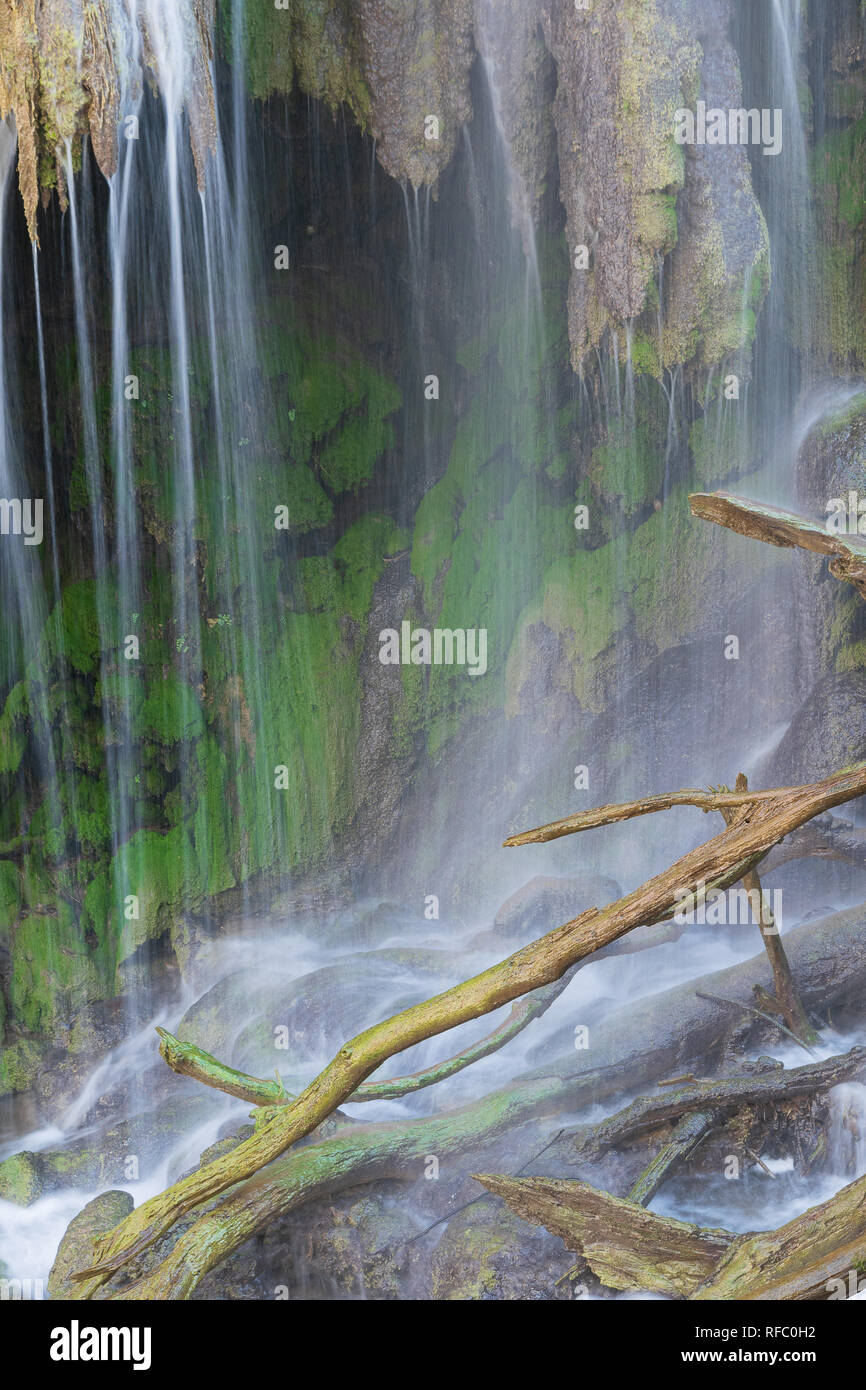 In addition to great hiking and camping, the beautiful Gorman Falls are ...