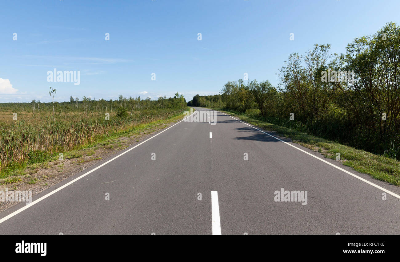asphalt road springtime passing through forests and swamps , landscape ...