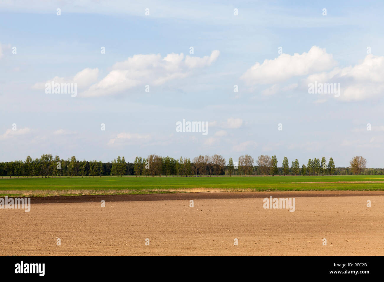 Spring landscape sunny weather on a commercial field Stock Photo - Alamy