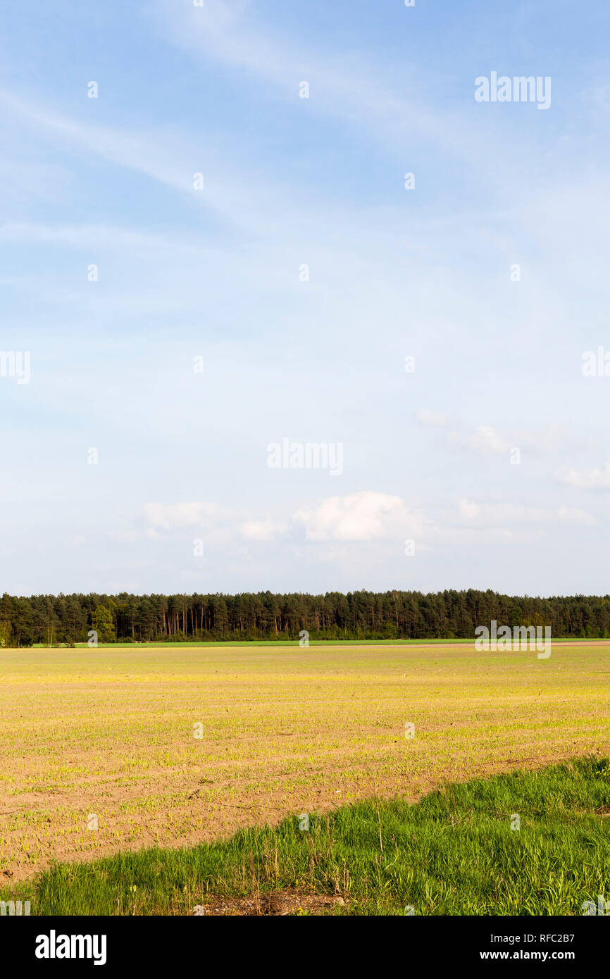 Commercial weather hi-res stock photography and images - Alamy