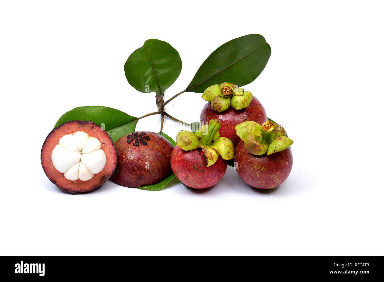 Mangosteen is a perennial green tree from the tropics that is believed ...