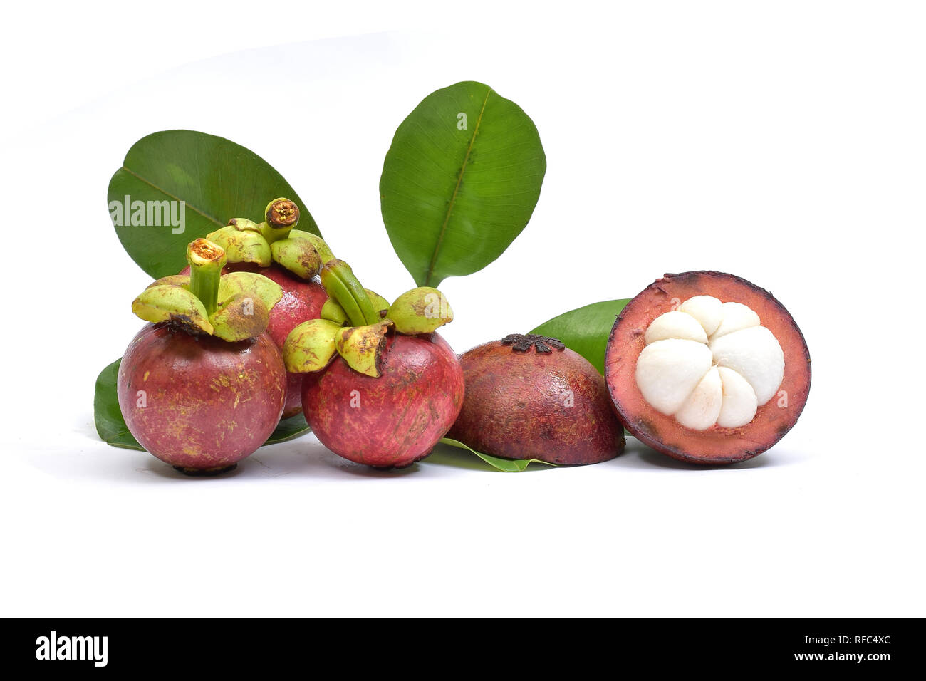 Mangosteen is a perennial green tree from the tropics that is believed ...