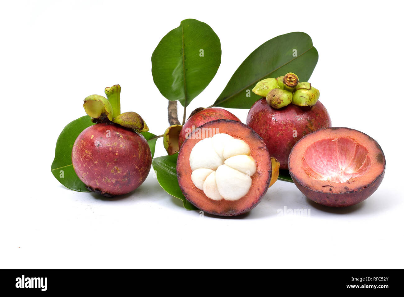 Mangosteen is a perennial green tree from the tropics that is believed ...