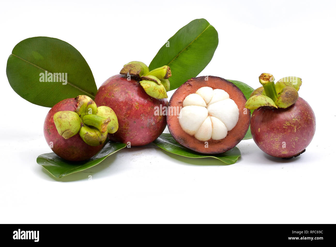 Mangosteen is a perennial green tree from the tropics that is believed ...