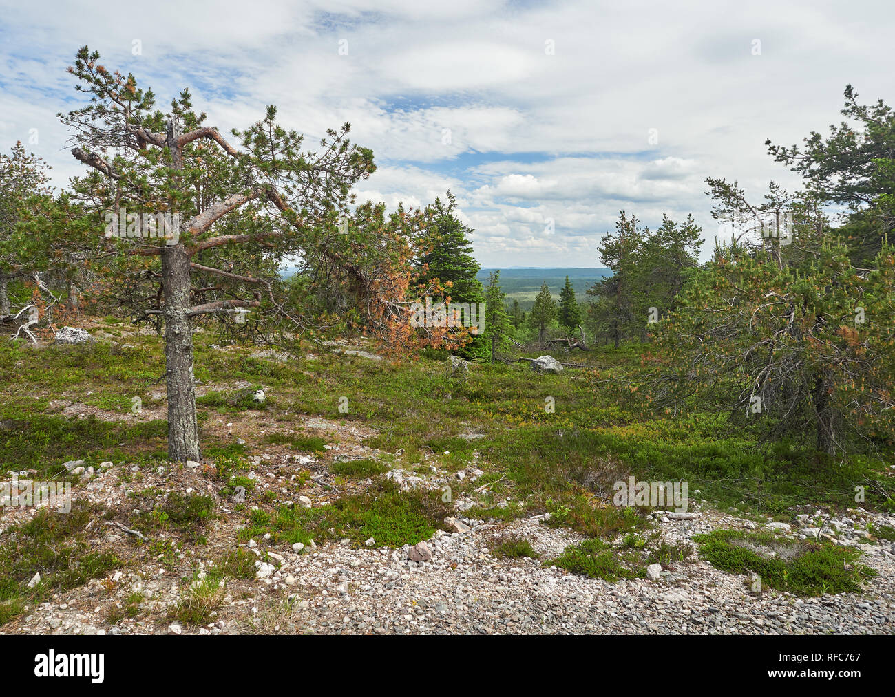 Ruka finland ski resort hi-res stock photography and images - Alamy