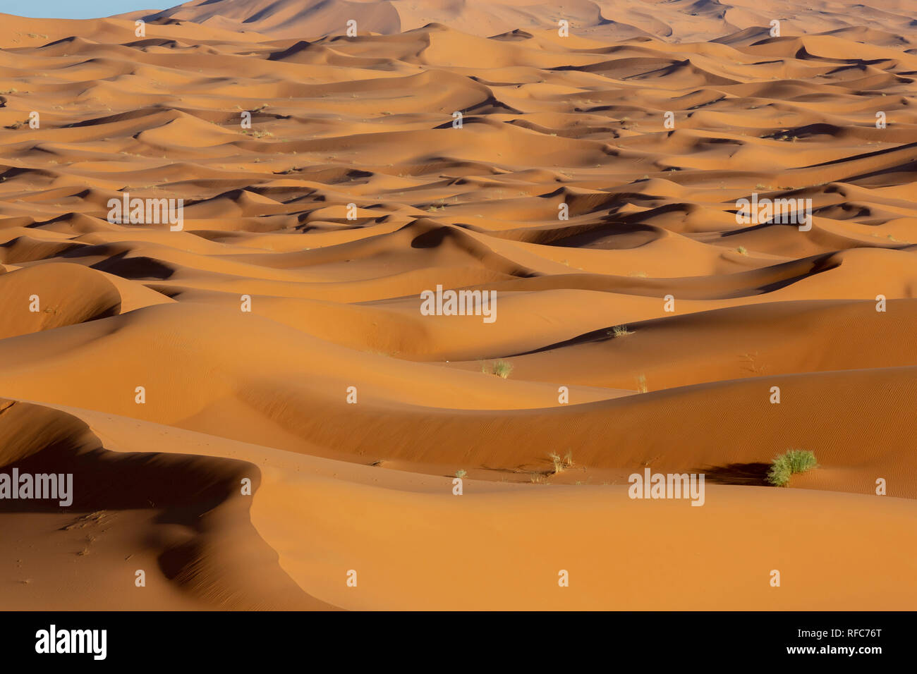 Landscape of sand hot desert with wind and sky. Outdoor panorama on ...