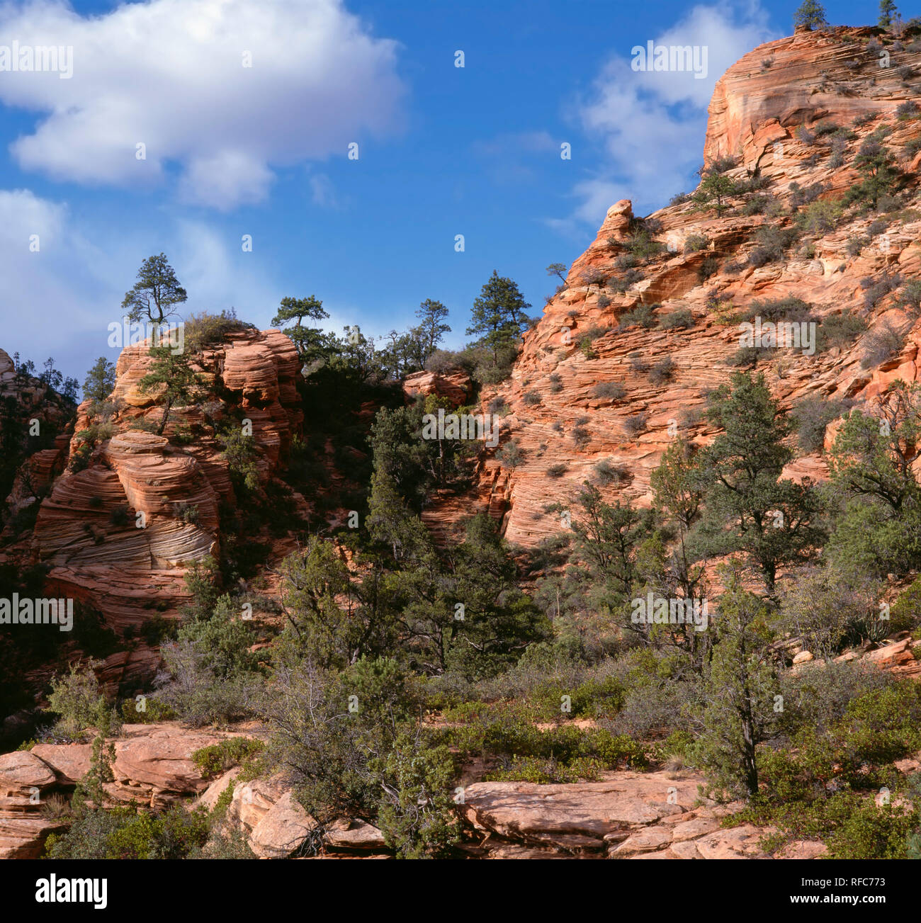 Cross bedded sandstone hi-res stock photography and images - Alamy