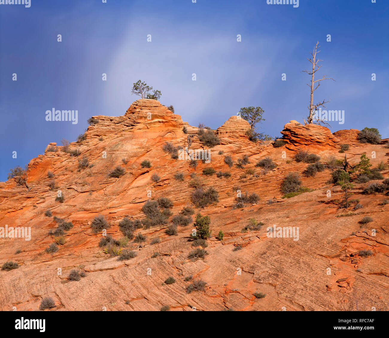 Cross bedded sandstone hi-res stock photography and images - Alamy
