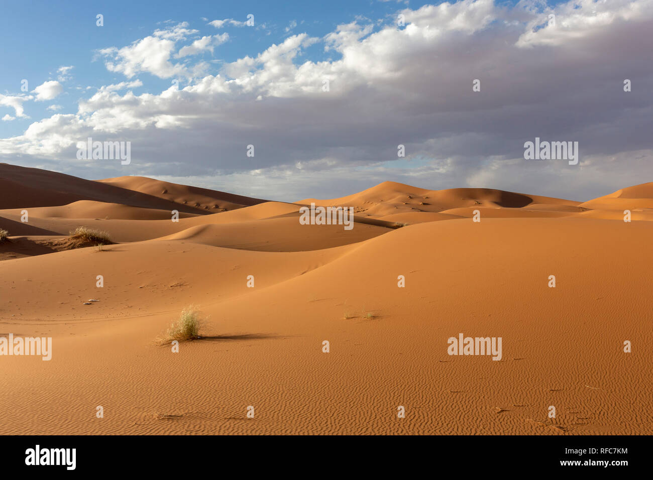 Wavy sand dunes at sunset on the background of dramatic sky clouds ...