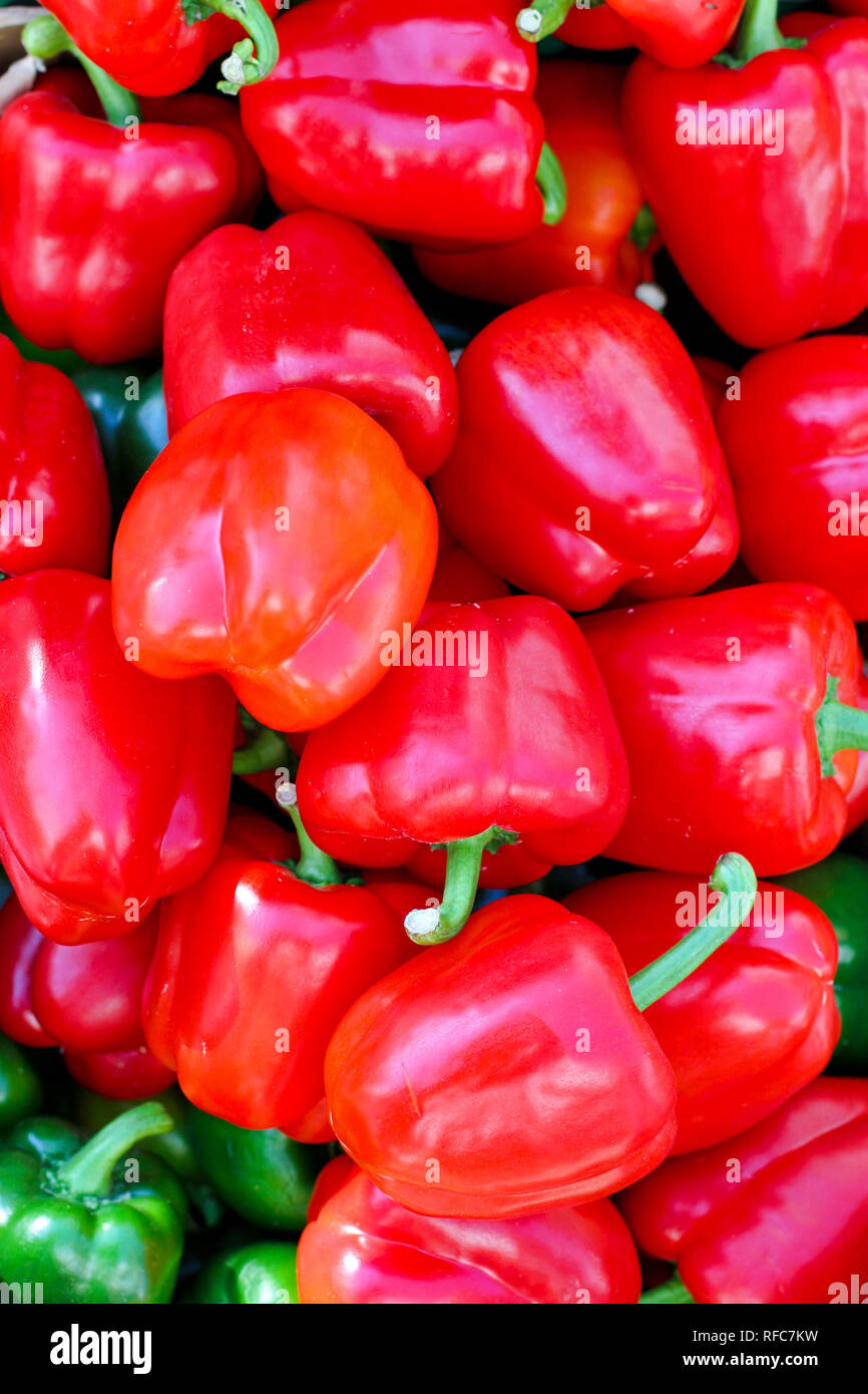 Big chilly hi-res stock photography and images - Alamy