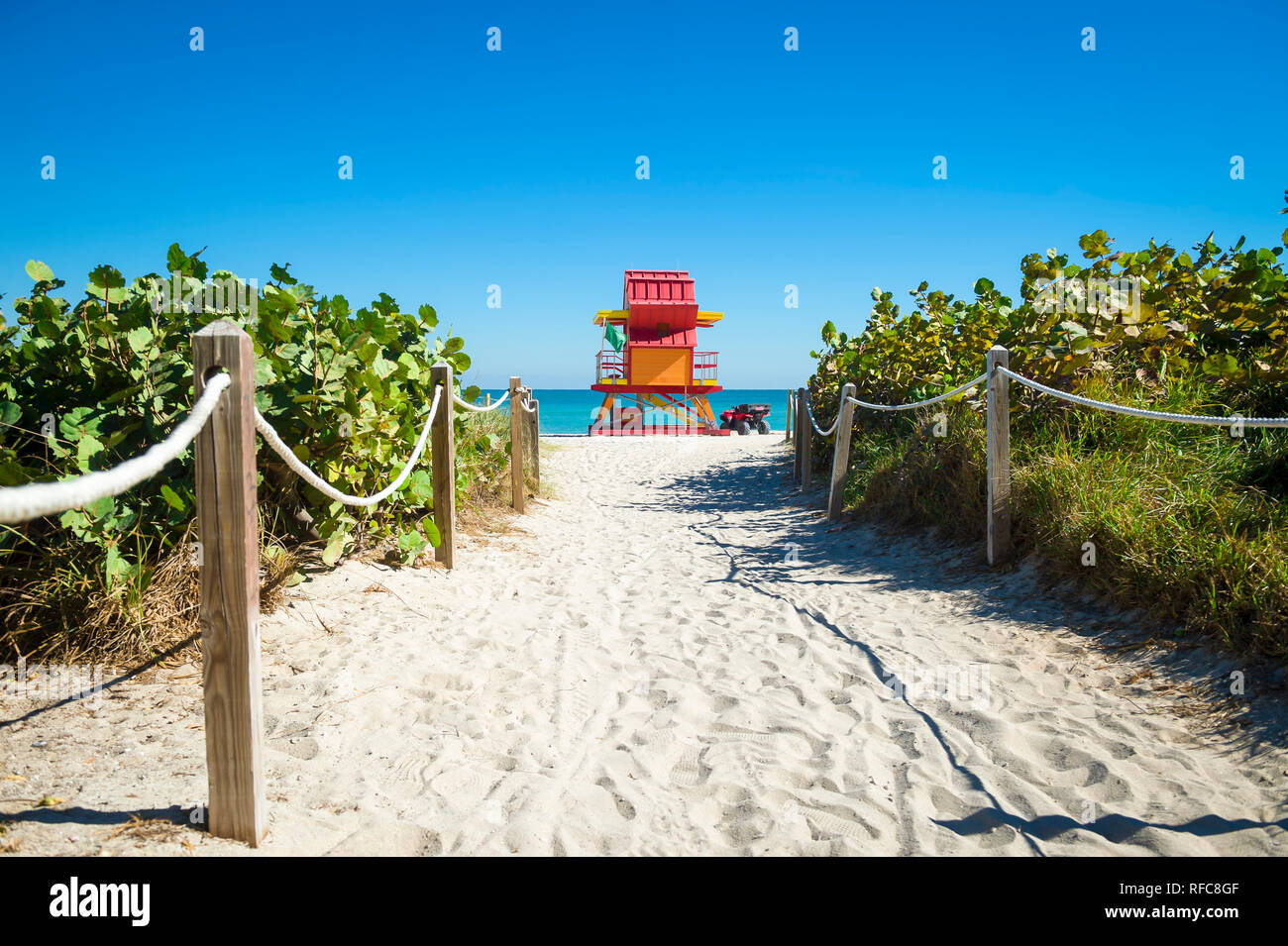 Bright scenic view of classic sand dune path lined with tropical ...