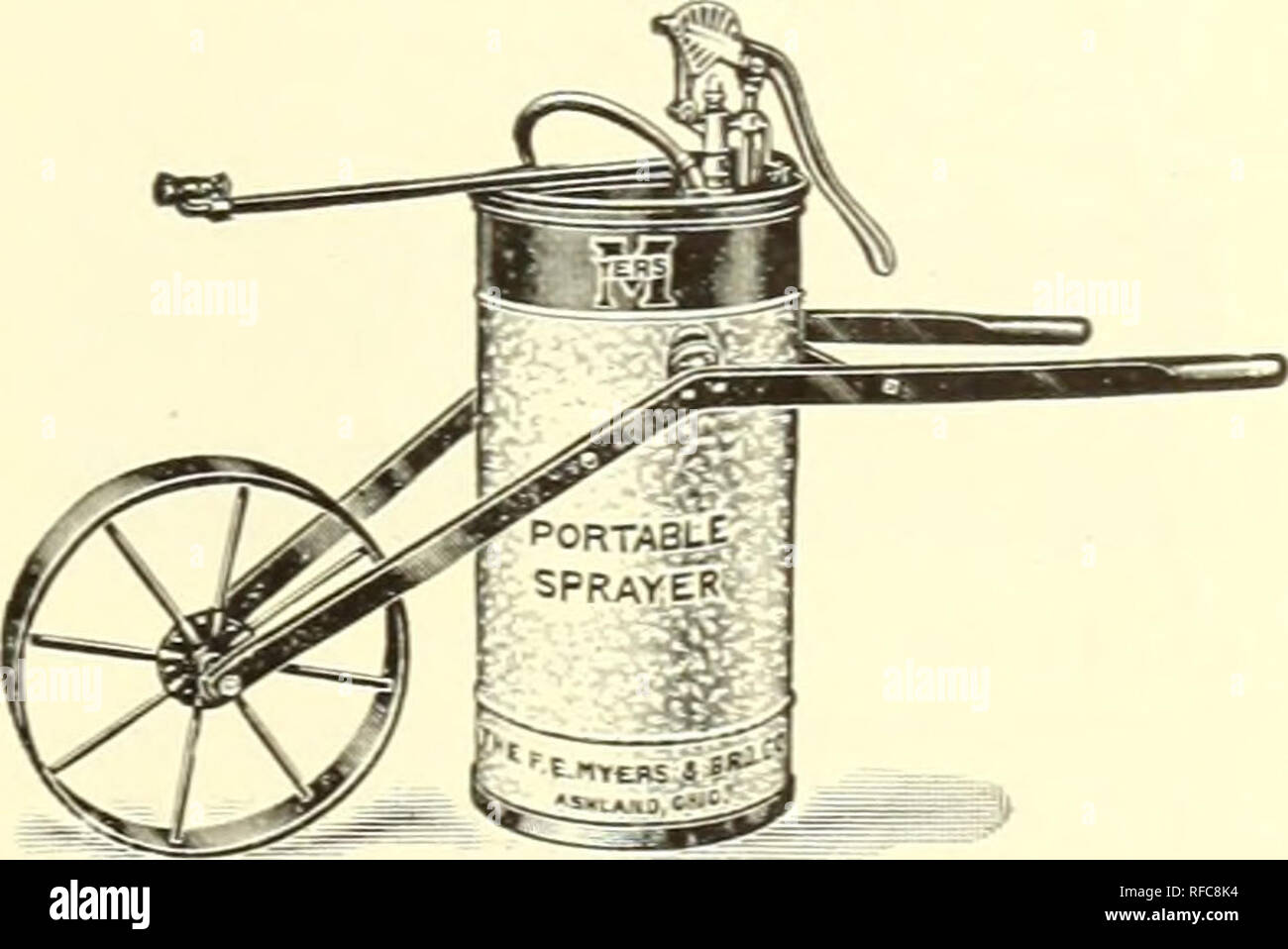 Morel model hi-res stock photography and images - Alamy