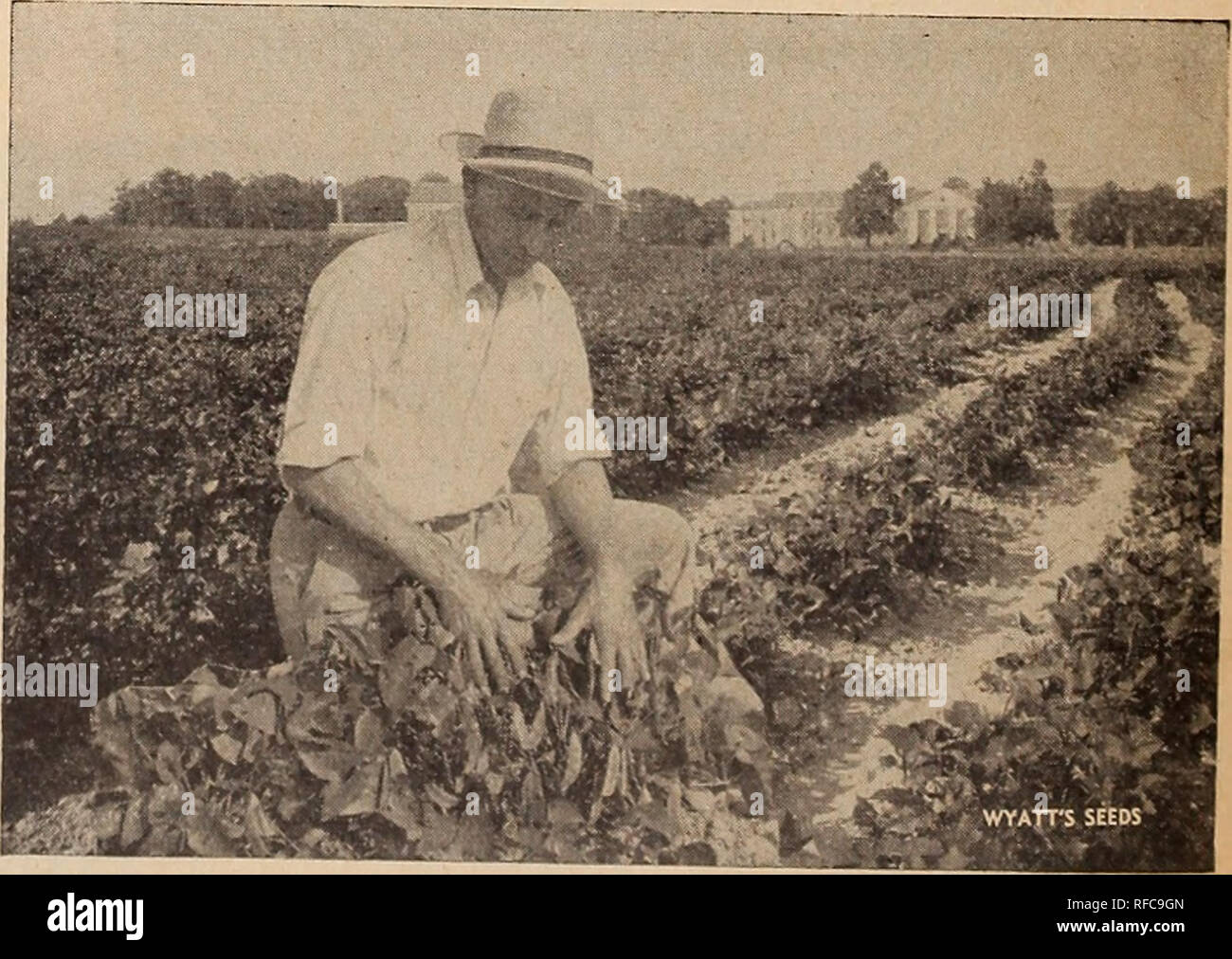 69 feet tall hi-res stock photography and images - Alamy