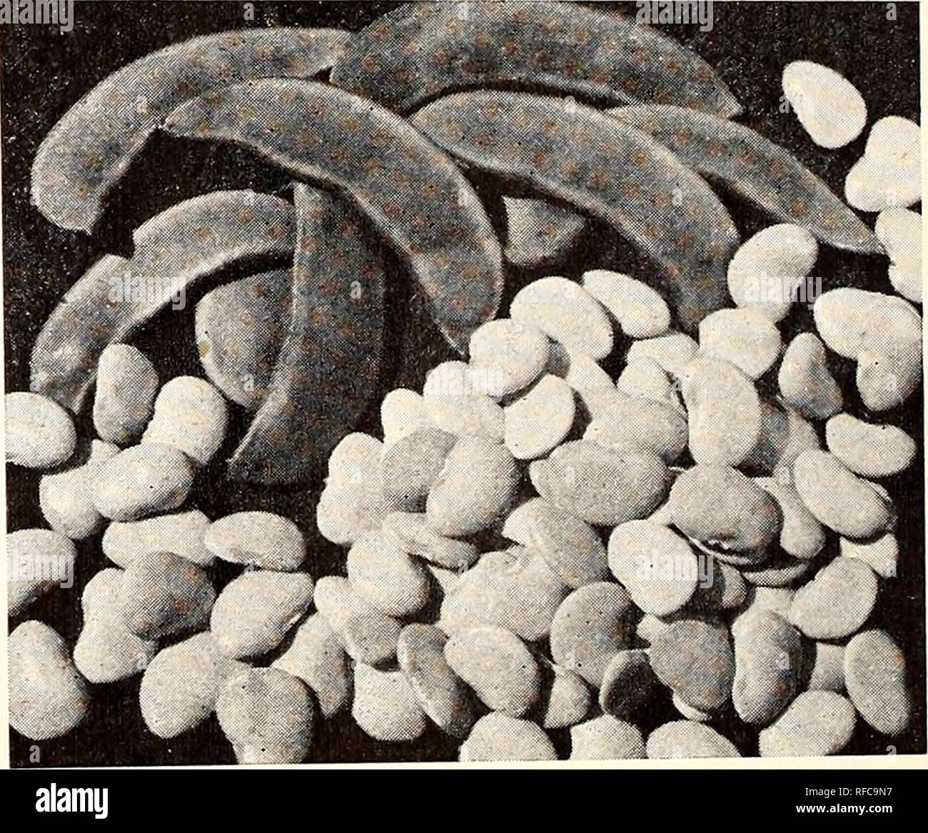 Inoculate seed hi-res stock photography and images - Alamy