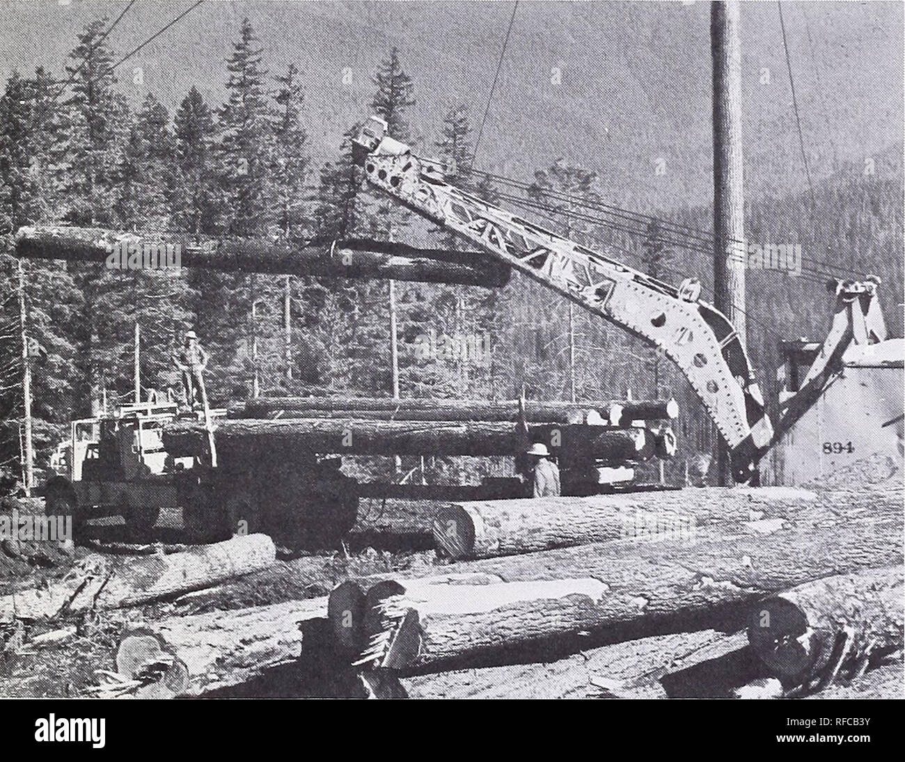High Lead Logging High Resolution Stock Photography and Images - Alamy