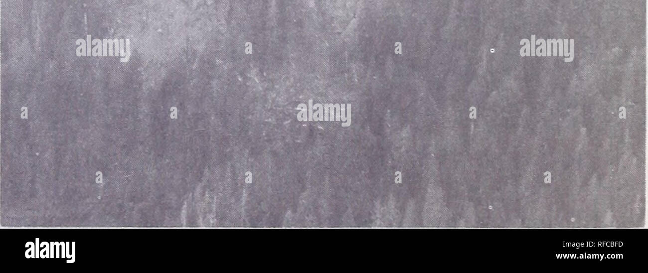 . Mass wasting in coastal Alaska. Mass-wasting Alaska. Figure 1.—Aerial ...