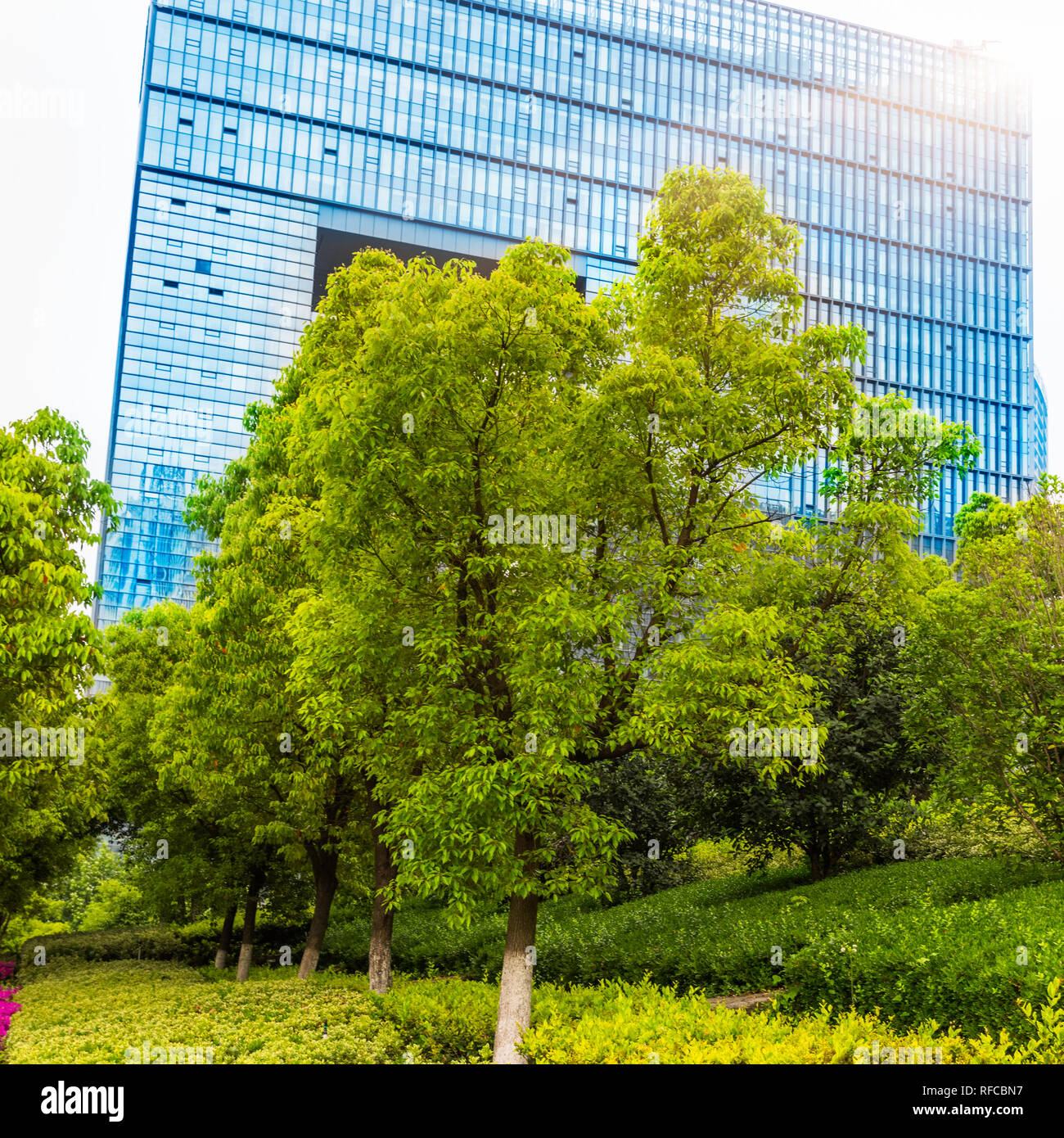 Shanghai forest hi-res stock photography and images - Alamy