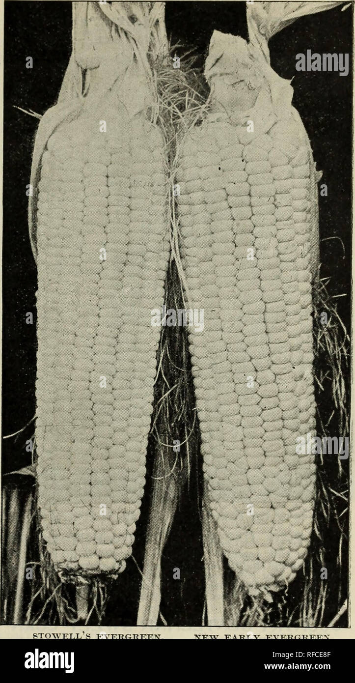 . 1901 Johnson & Stokes garden and farm manual. Nurseries (Horticulture ...
