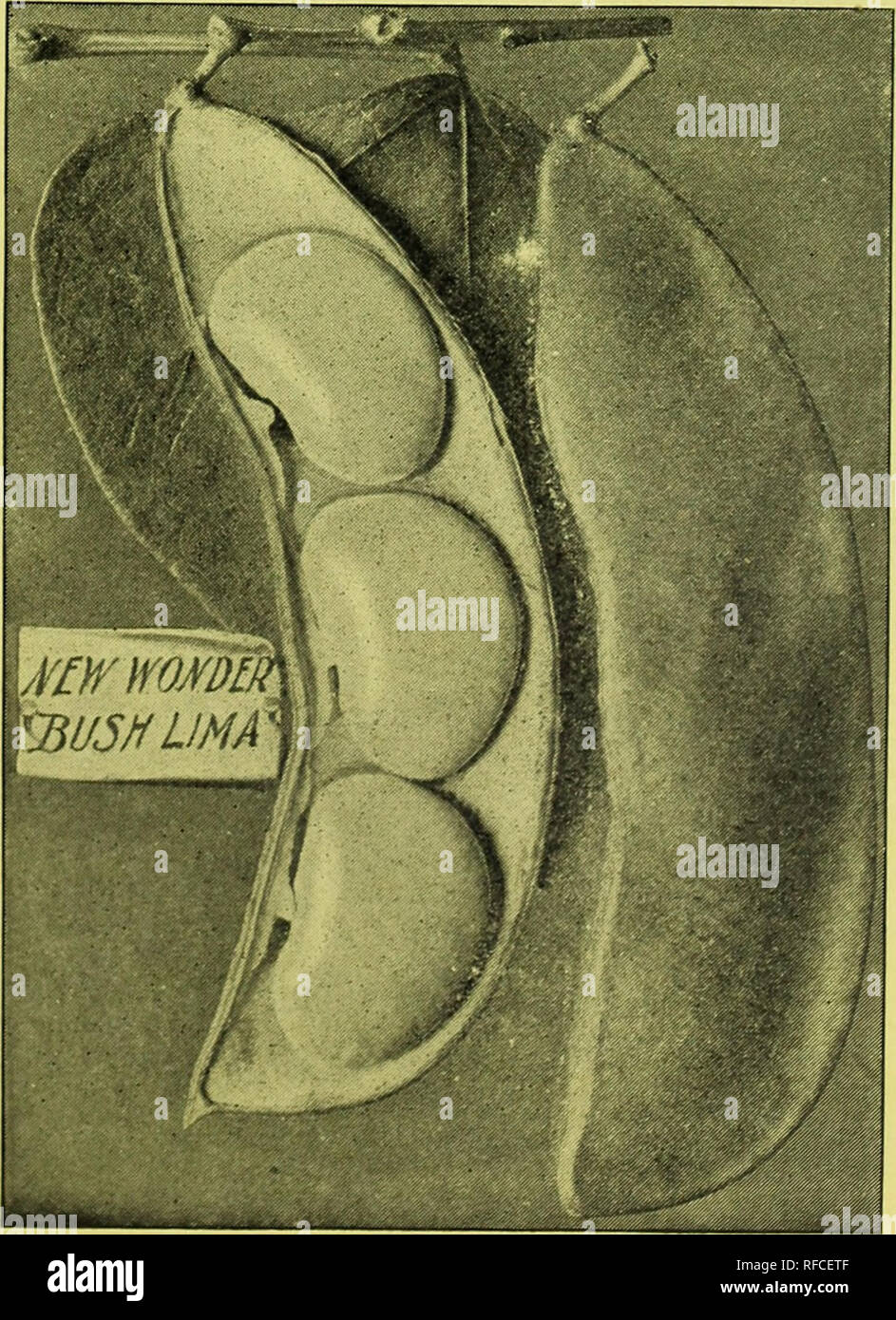 . 1901 Johnson & Stokes garden and farm manual. Nurseries (Horticulture ...