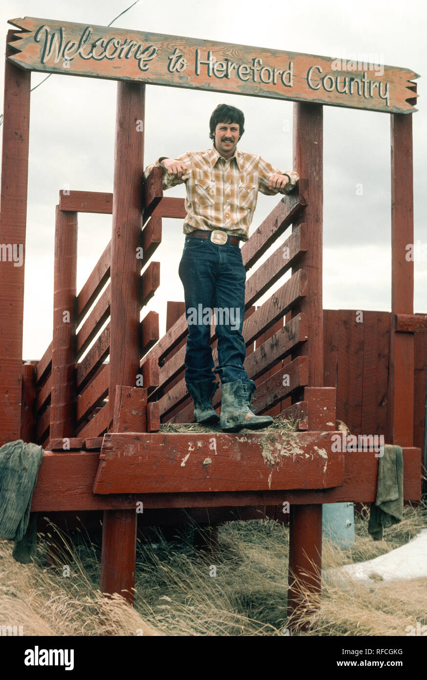 Ranch hand Posses for Camera on a Cattle Chute, MT, USA Stock Photo - Alamy