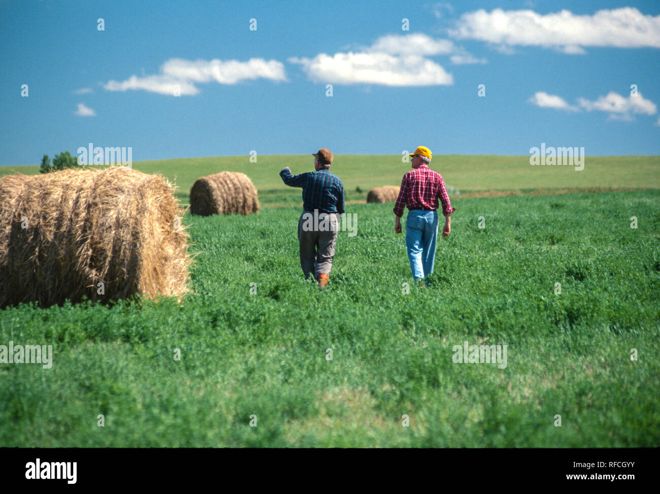 Two Farmers in A Field with Hay Bales, USA Stock Photo - Alamy