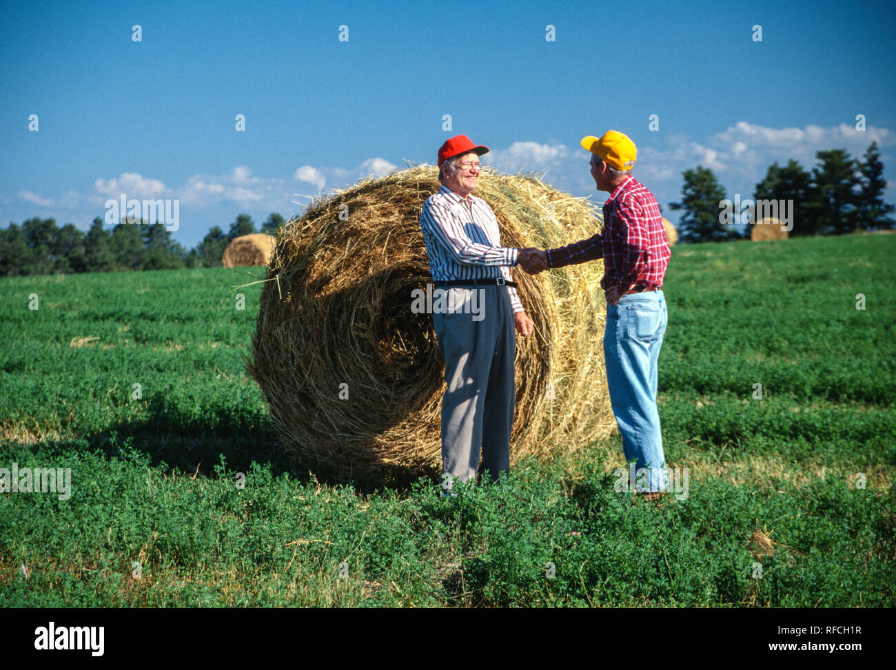 Two Farmers in A Field with Hay Bales, USA Stock Photo - Alamy