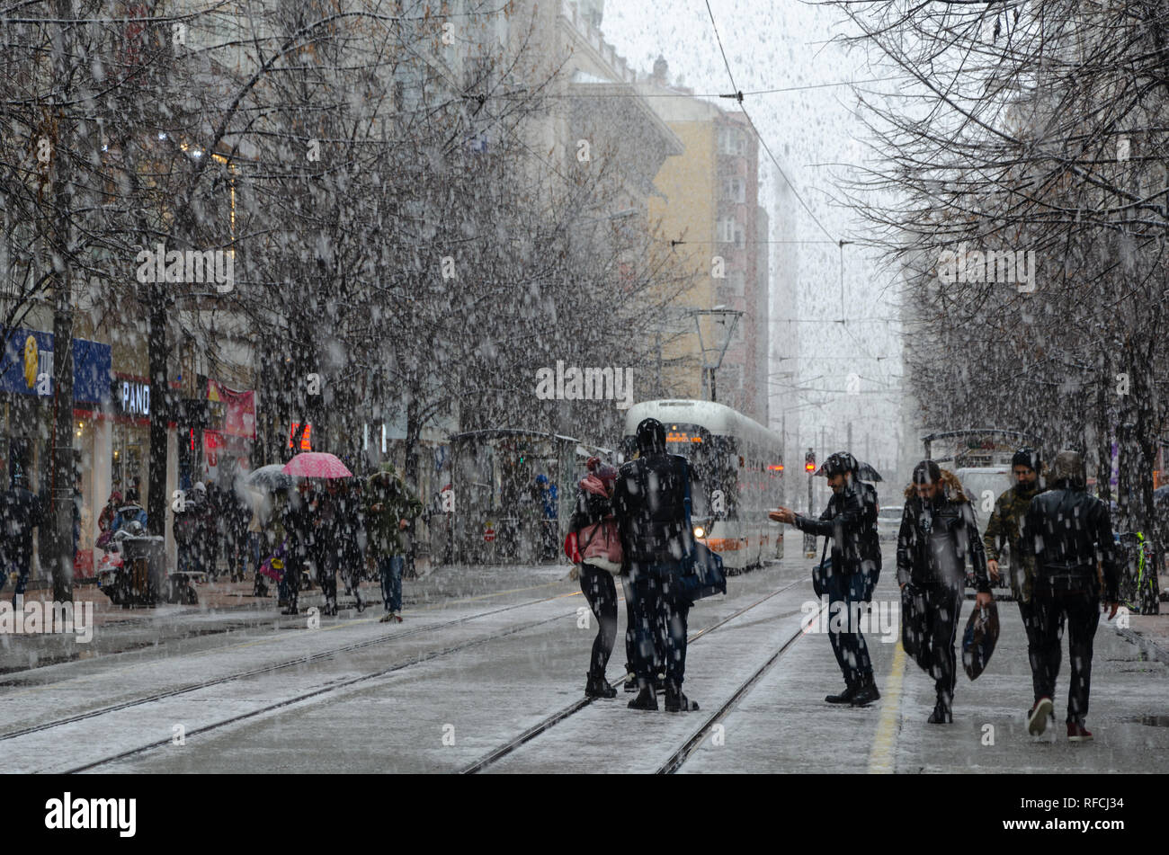 People take photos hi-res stock photography and images - Alamy