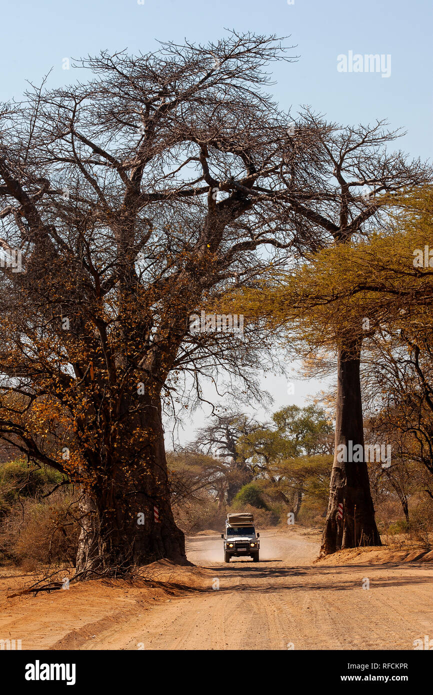 Going On Safari High Resolution Stock Photography and Images - Alamy