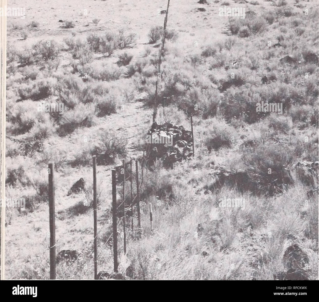 Heavily grazed hi-res stock photography and images - Alamy