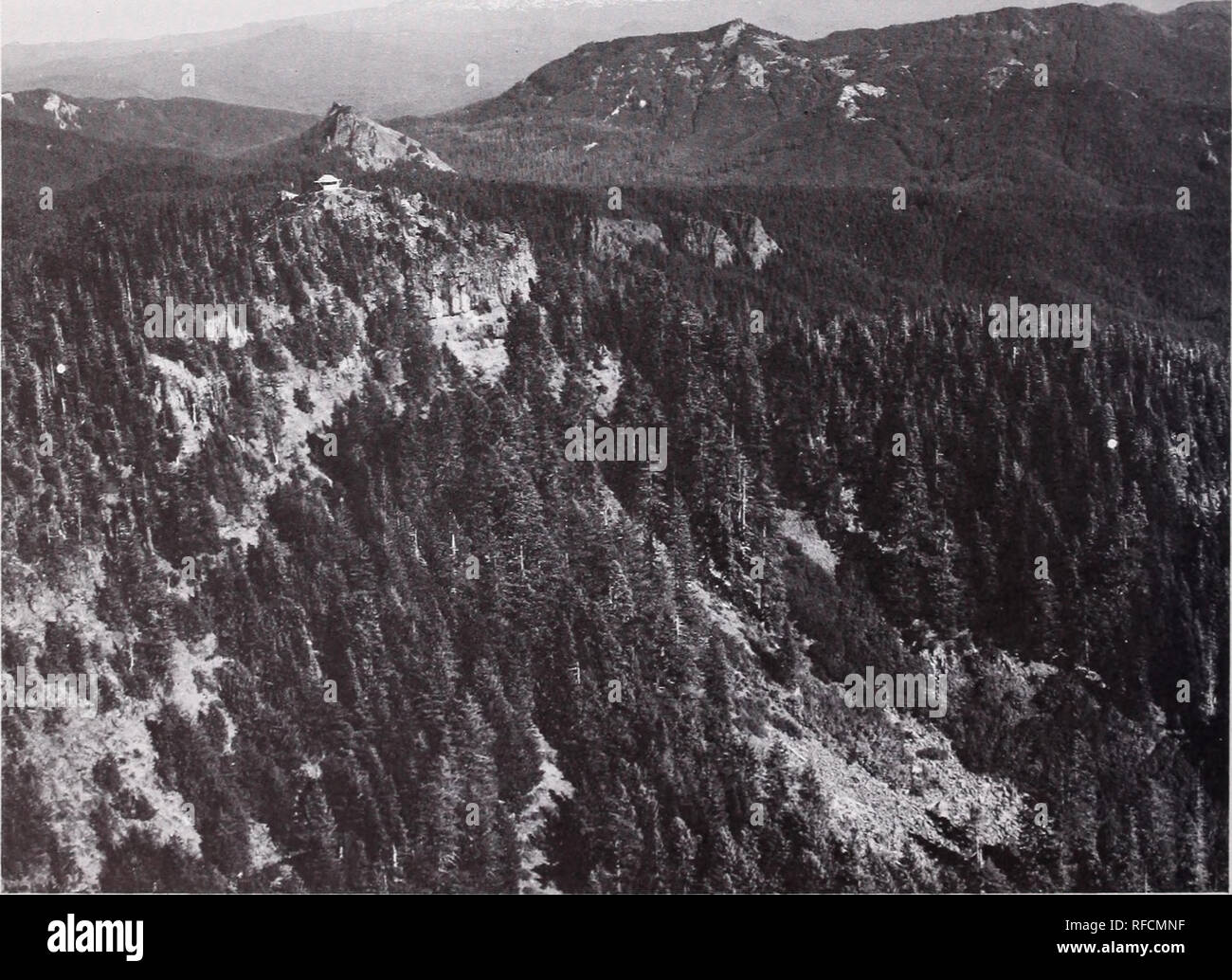 Podzolic soils hi-res stock photography and images - Alamy