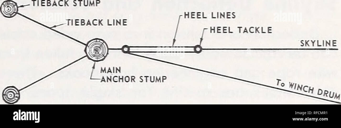 . Economics and design of a radio-controlled skyline yarding system ...
