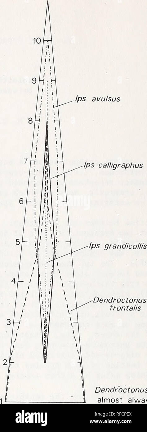 Ubiquitous insects hi-res stock photography and images - Alamy