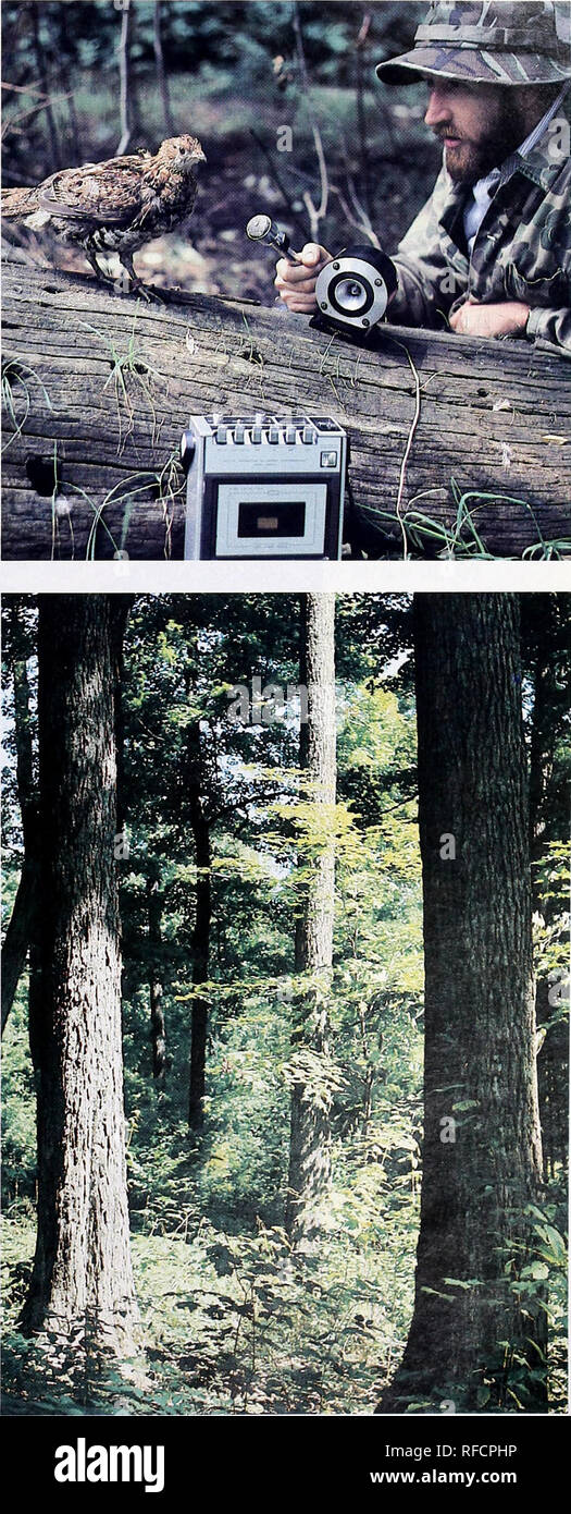 Lysimeters hi-res stock photography and images - Alamy