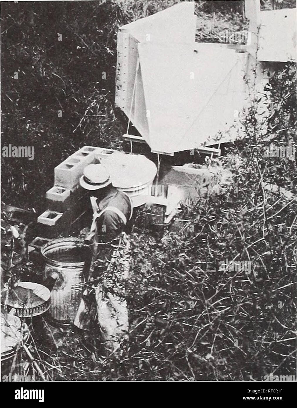 Poor farming practices hi-res stock photography and images - Alamy