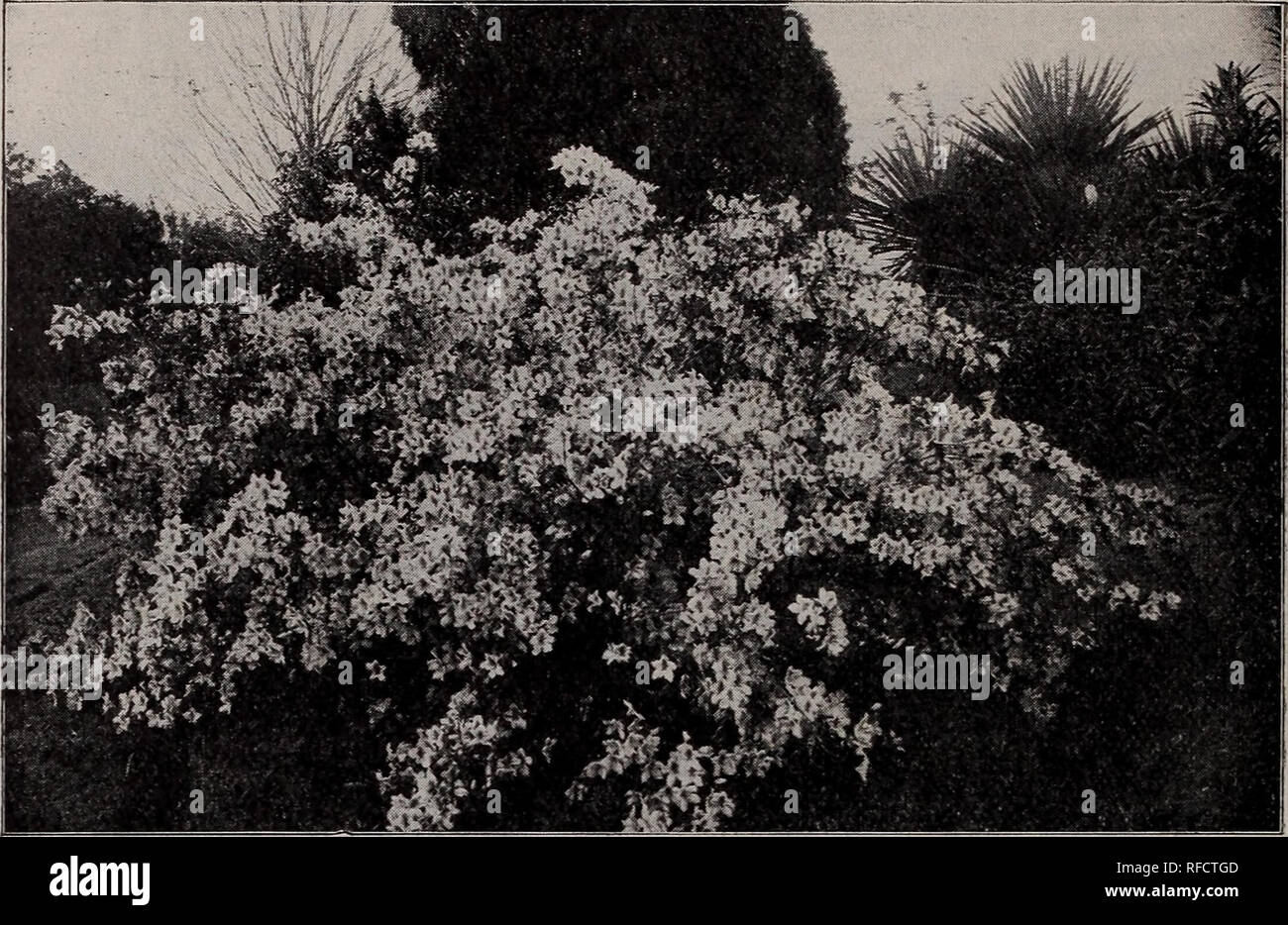 . Fruitland Nurseries. Nursery stock, Georgia, Augusta, Catalogs; Fruit ...