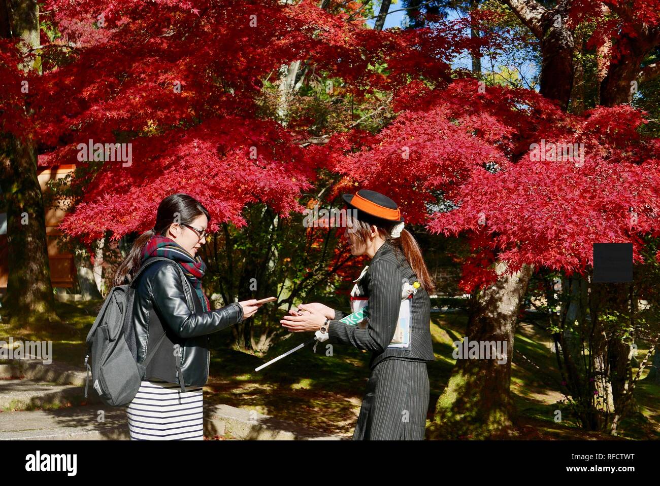 Helping guide hi-res stock photography and images - Alamy