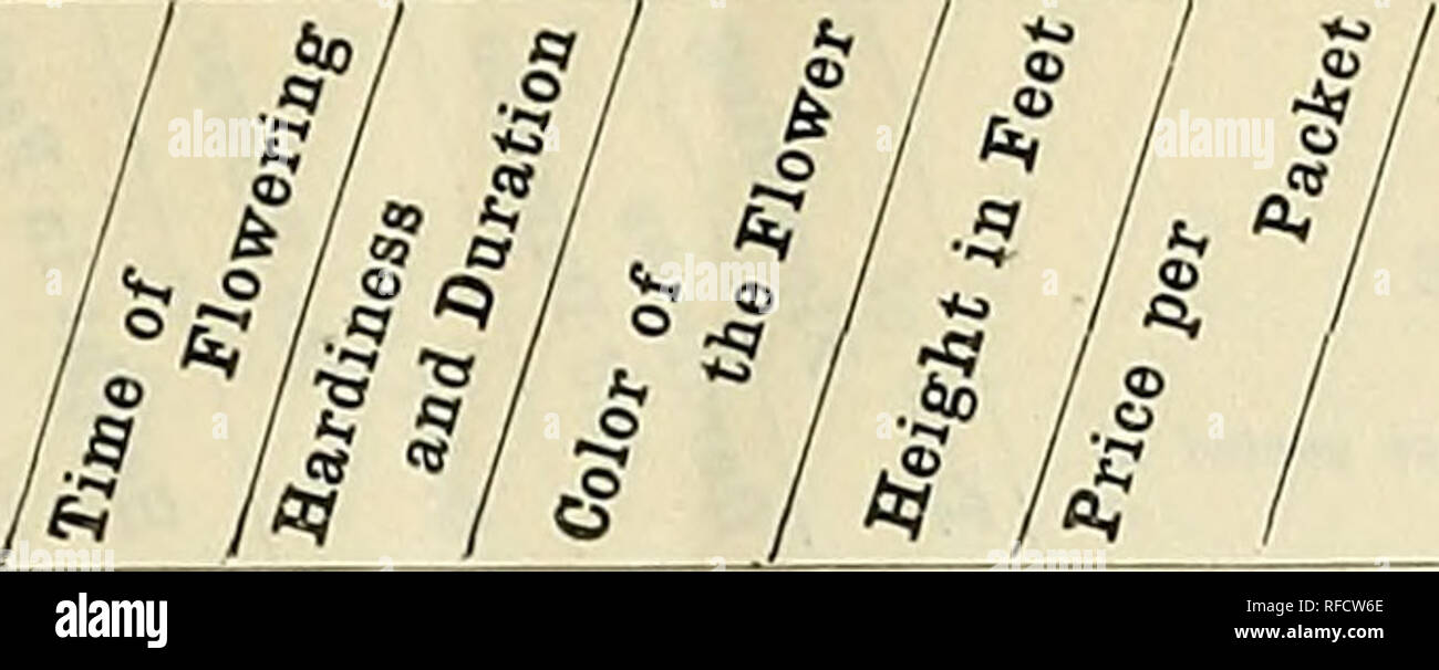 2900 class hi-res stock photography and images - Alamy